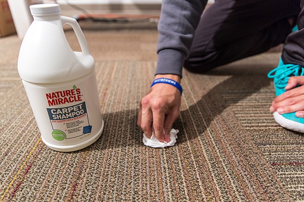 5 Best Carpet Cleaning Solutions - Sept. 2025 - BestReviews